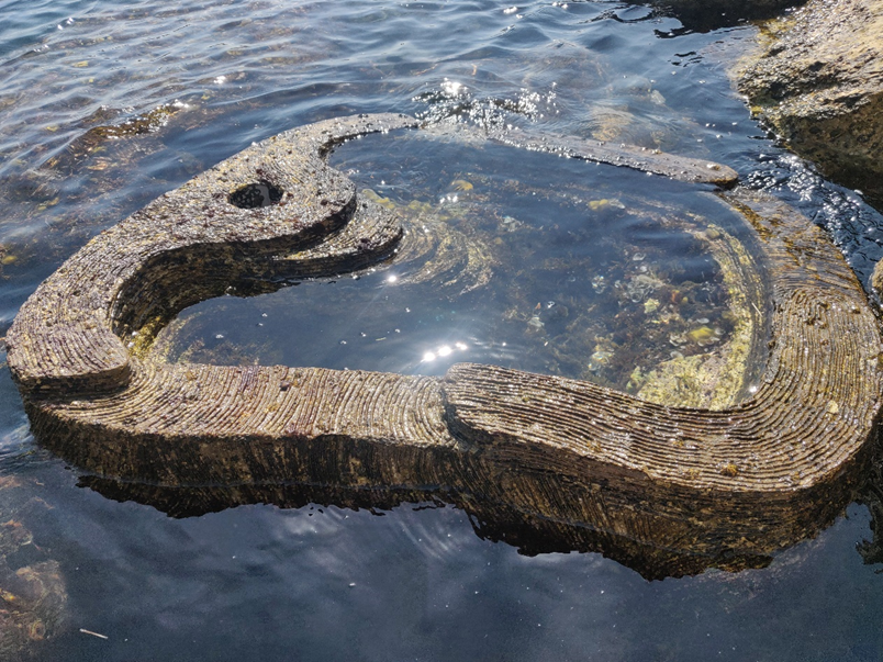 Man-made tide pools in Port of Fontvieille a success - Monaco Life