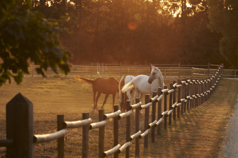Les Bordes Estate launches second round of luxury home sales in Loire ...