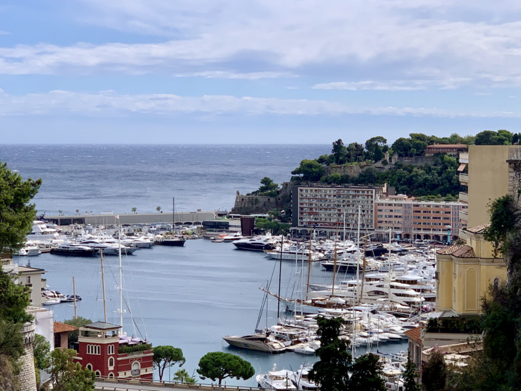 Covid cases plunge as new sub-variant makes its way to Europe - Monaco Life